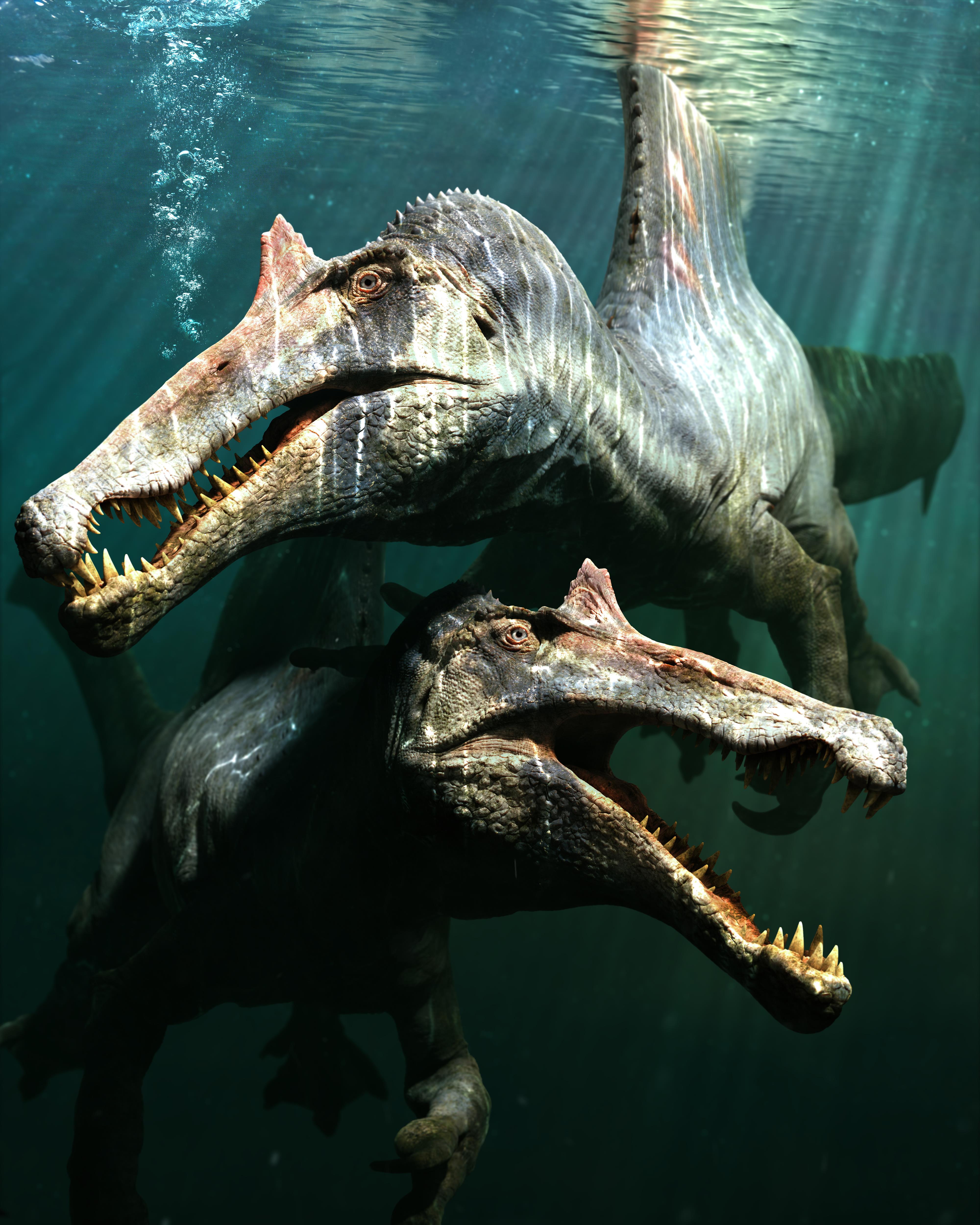 Julian Johnson-mortimer Visual Effect's