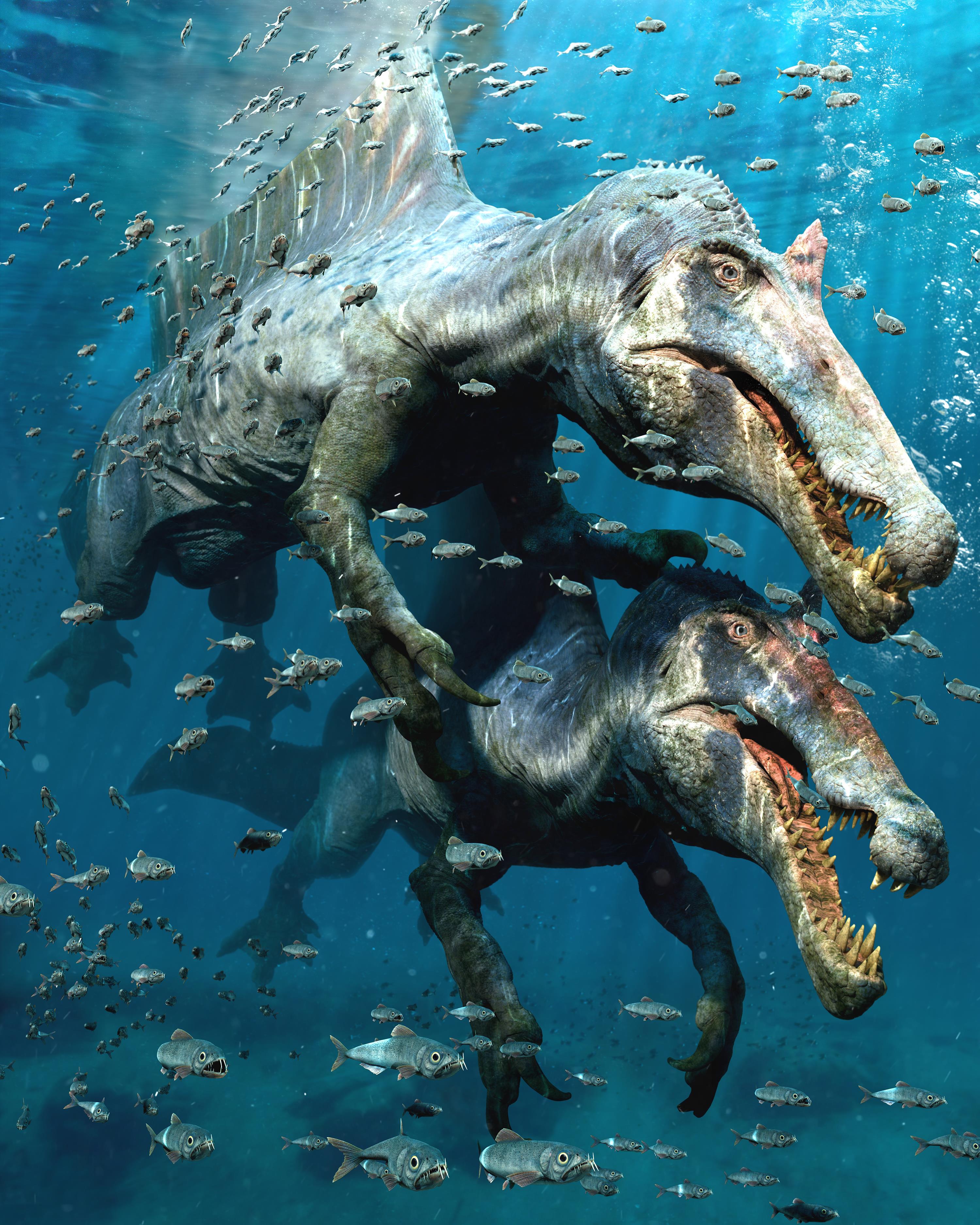 Julian Johnson-mortimer Visual Effect's