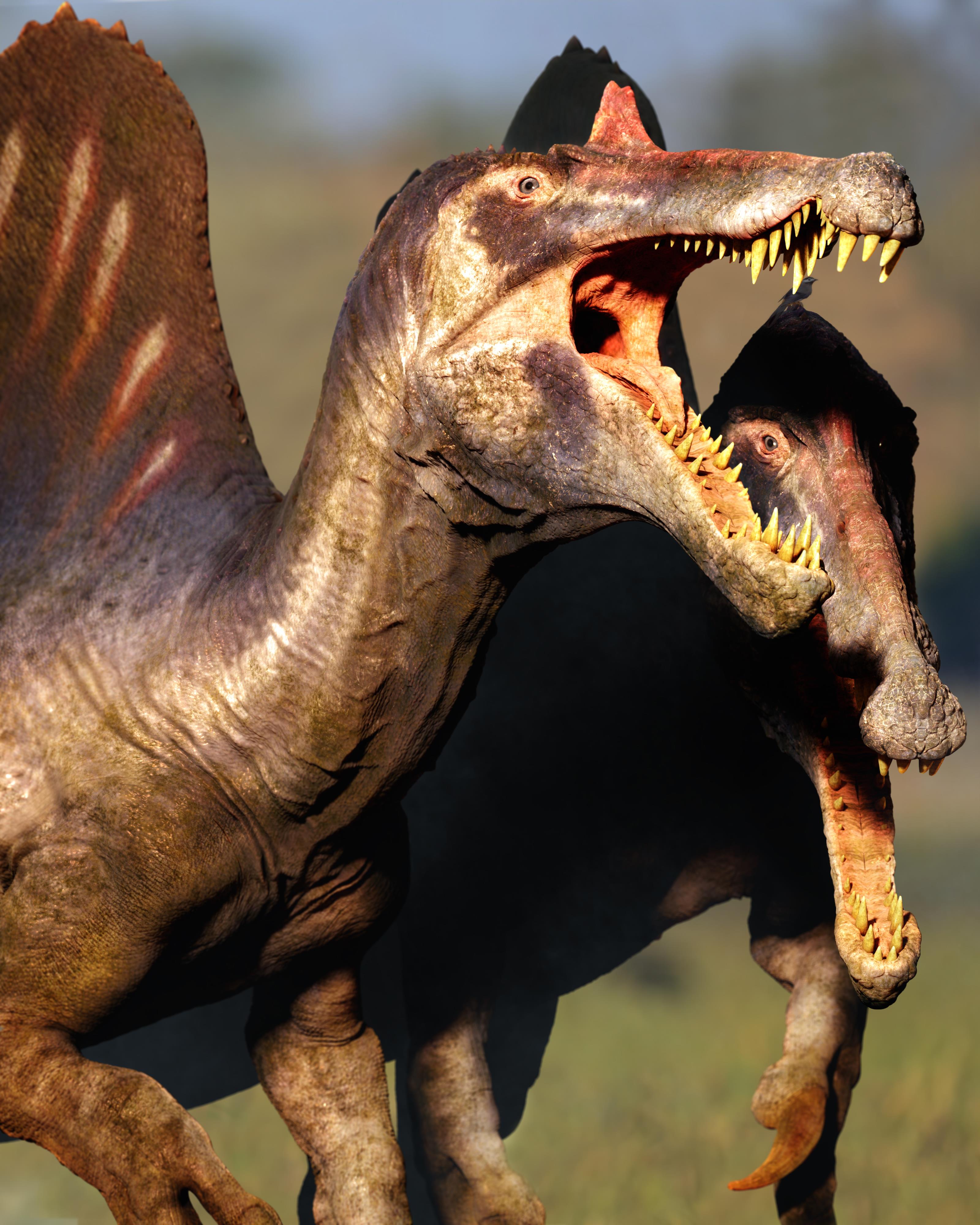 Julian Johnson-mortimer Visual Effect's